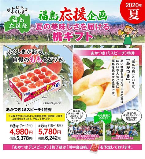 福島の桃「あかつき（ミスピーチ）」特秀 約5kg（15～18玉）【福島県産・送料無料】 沖縄ちゅら企画webショップ