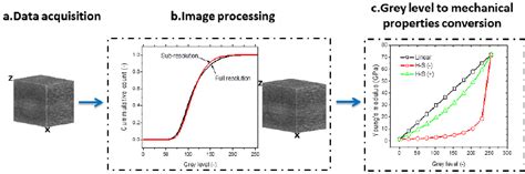 Schematic Of The Adopted Post Processing Protocol Download Scientific