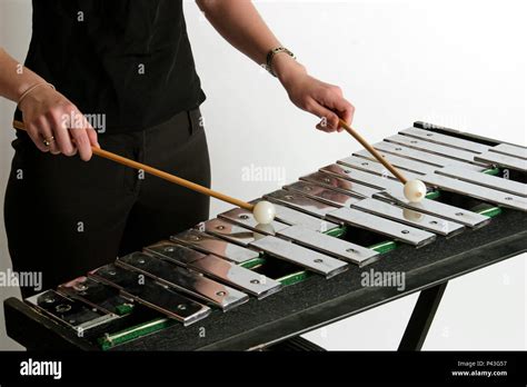 Glockenspiel Instrument