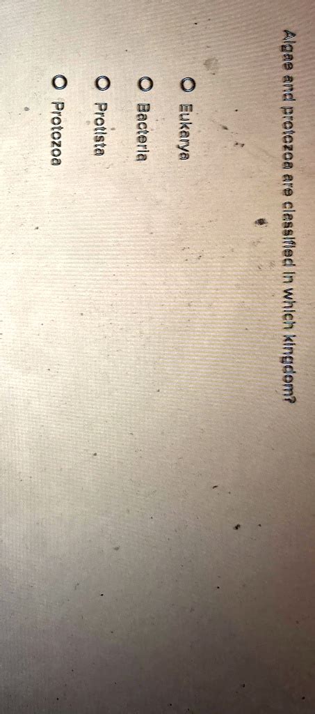 Algae And Protozoa Are Classified In Which Kingdom O Eukarya O