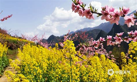 城口蓼子乡花开漫山美如画 高清图集 中国天气网