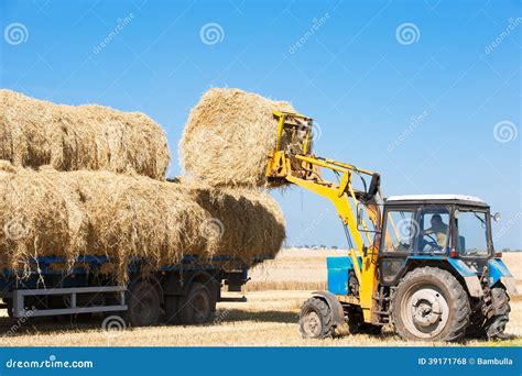 Tractor Loading Hay Bales On Truck Trailer Stock Photo Image Of