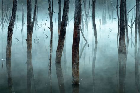 National Geographic Premió Las Mejores Fotos De La Naturaleza De 2017 Infobae