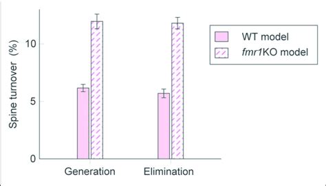 Spine Turnover In Our Wt And Fmr1ko Models With Two Different Levels