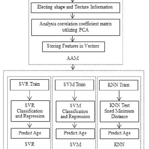Flow Chart Of The Suggested Age Prediction Algorithm Download Scientific Diagram