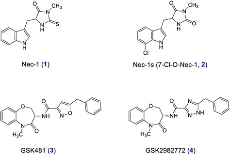 Visualization Of Receptor Interacting Protein Kinase 1 Ripk1 By Brain