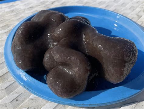 Found A Strange Blob What Is It Rbiology