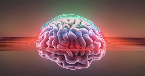 Lab Grown Mini Human Brains Sent Into Space Aged Faster Than On Earth Daily Star