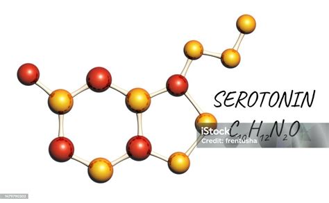 세로토닌의 화학식 행복 호르몬 세로토닌 호르몬의 분자 모델 흰색 배경에 격리 3차원 형태에 대한 스톡 사진 및 기타 이미지