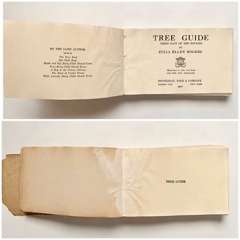 Vintage Tree Guide Book 1919 Trees Tree Identification Etsy