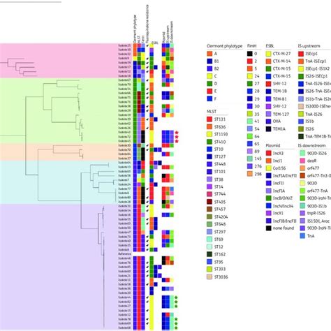 Core Genome SNP Phylogenetic Tree Annotated With ESBL Genes And Genetic Download Scientific