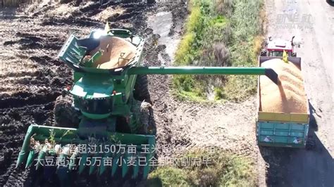 黑龙江北大荒秋收掀起热潮纪录湃澎湃新闻 The Paper