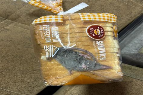Blinkit Delists Store After Man Finds Rat In Bread Packet Ordered From App Viral Post Here