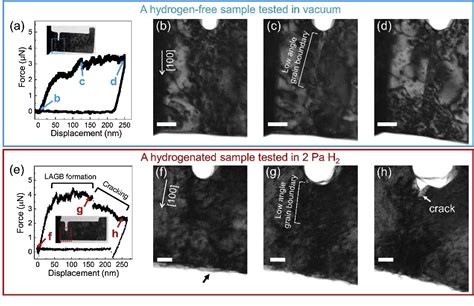 Figure 4 From Hydrogen Enhanced Cracking Via Dynamic Formation Of Grain