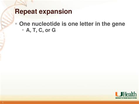 Genetics Of Myotonic Dystrophy Ppt Download