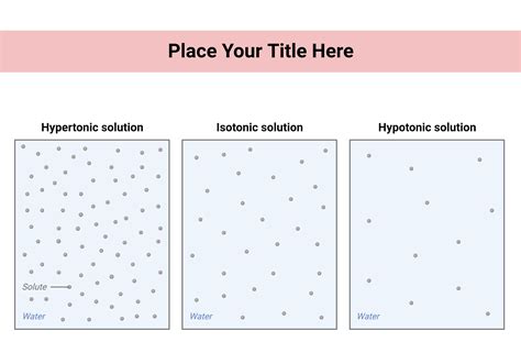 Osmoregulation Layout 3x1 BioRender Science Templates
