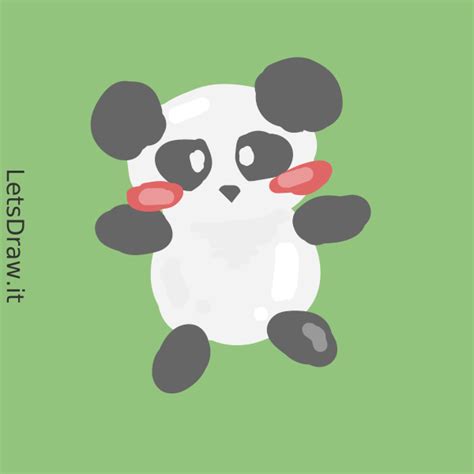 How To Draw Panda Ibbm8jrgr Png LetsDrawIt