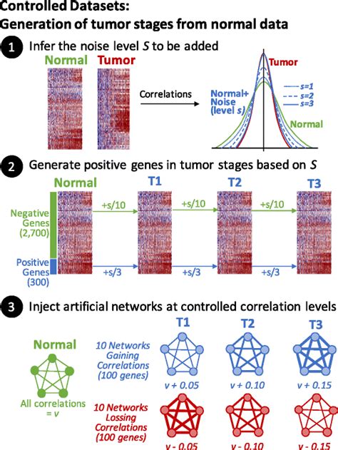 Generation Of Controlled Datasets The Final Dataset Of 3200 Genes Download Scientific Diagram