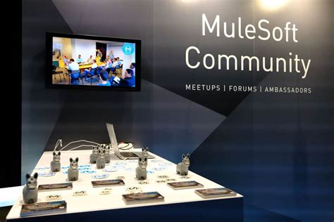 A Look Back At CONNECTs DevZone MuleSoft Blog