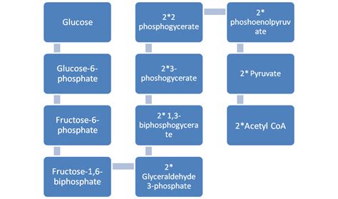 Emp Pathway Full Form What Is The Full Form Of Emp