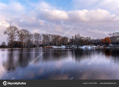 Naked Autumn Trees Shore Lake Cold Cloudy Autumn Day Stock Photo By YAYImages