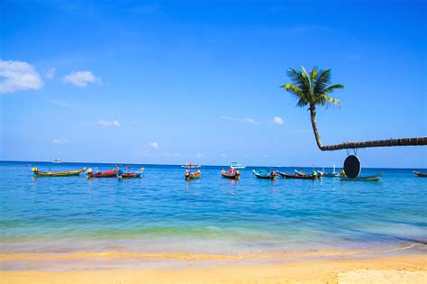해변에서 여름 휴가 개념 또는 휴일 아름 다운 바다 모래와 하늘 보트와 빈 기호 당신의 텍스트에 대 한 복사 공간으로 바다를 향해 절곡 코코넛 나무 0명에 대한 스톡 사진