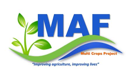 MAF