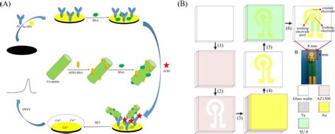 Fabrication Processes Of Two Immunosensors Using Afb1 Antibody Yb For Download Scientific