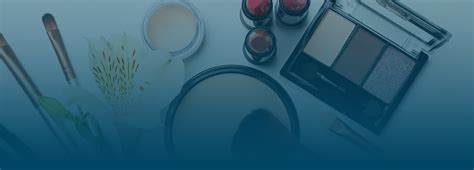 Shareholding Pattern Accent Microcell Ltd