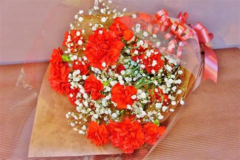 Mo 08 「レッドカーネーションのお花束」 母の日 ～mothers Day 2025～ Florist Hanashima