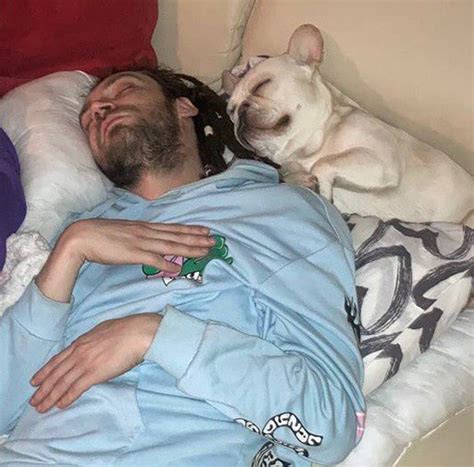 Создать мем человек спящая собака милый французский бульдог Картинки Meme