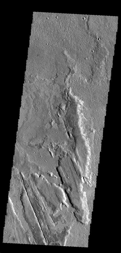 Daedalia Planum