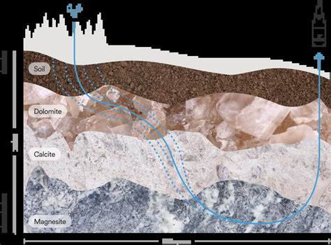 Mineralization
