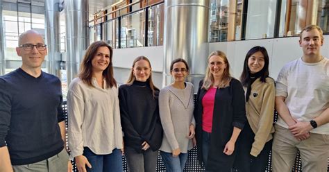 Genomics Of Sex Differences University Of Helsinki