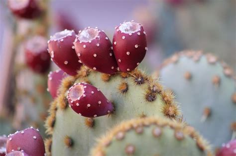 Adjectives And Other Modifiers Englission