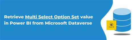 Dynamics 365 Retrieve Multi Select Option Set Value In Power Bi