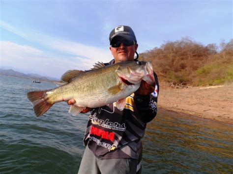 Donde Pescar Las Lobinas De Picachos En Sinaloa México