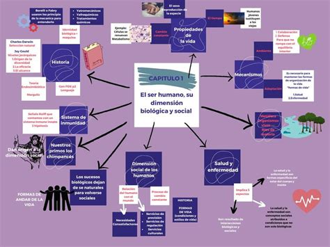 El ser Humano y su Dimensión Biológica y Social