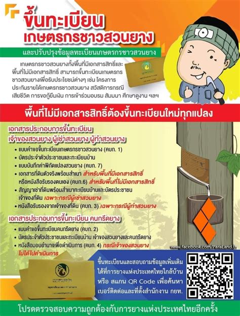 ขึ้นทะเบียนสวนยาง 2565 ไม่มีเอกสารสิทธิ์ กยท ให้ชาวสวนยื่นถึงวันไหนดูเลย