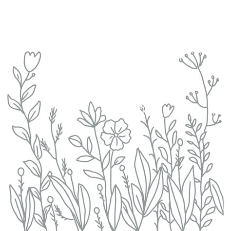 Botanical Hand Drawn Premium Vector