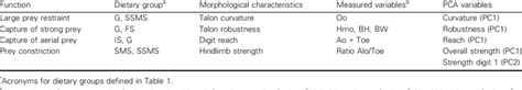 Prey Capture Functions Owl Hindlimb Morphological Characteristics