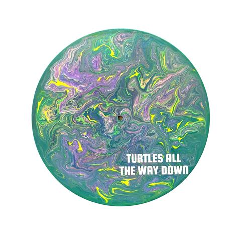 Sturgill Simpson Fan Art Turtles All The Way Down Song Lyrics Painted Vinyl Record Wall Decor