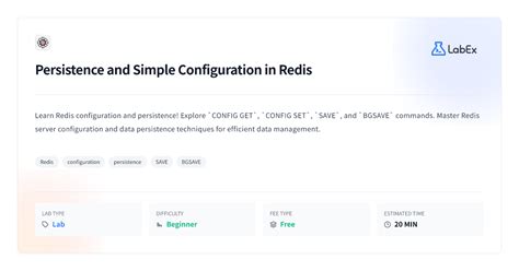 Persistence And Simple Configuration In Redis Labex