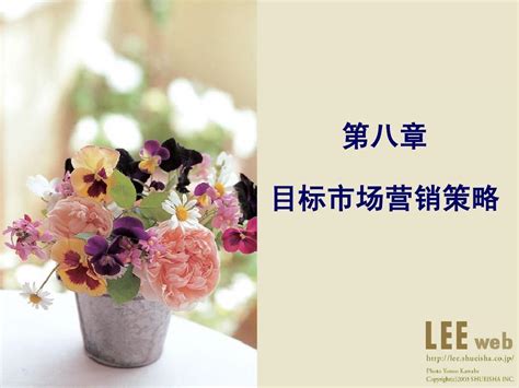 第八章 目标市场营销策略word文档在线阅读与下载无忧文档