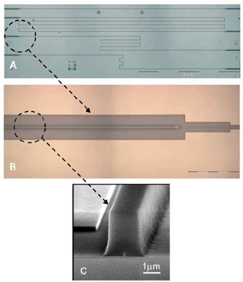 Optical And Sem Micrographs Of Fabricated Soi Devices A Waveguides Download Scientific