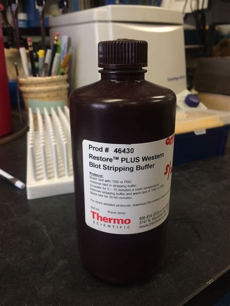 Western Blot Loading Buffer Recipe At Colton Larson Blog