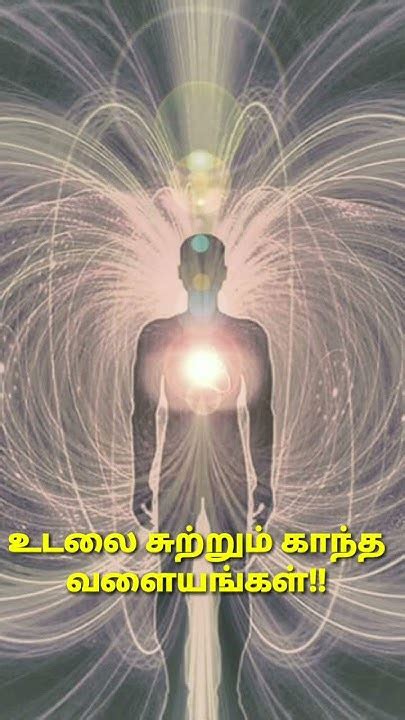 ஆத்மாவை பலமாக்கும் சித்தர்கள் ரகசியம் Rocky News Tamil Tamil Youtube