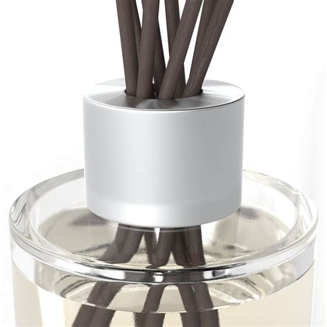 Reed Diffuser 3d Model 15 Fbx Max Obj Free3d