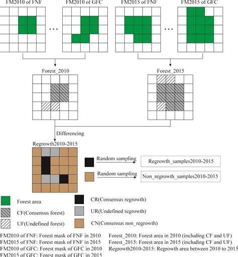 Essd Thirty Meter Map Of Young Forest Age In China