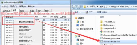 Windows Python Selenium Sunboyl